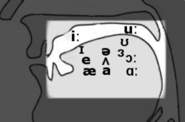 The 12 ‘simple’ English vowels: tips on mouth position and movement ...